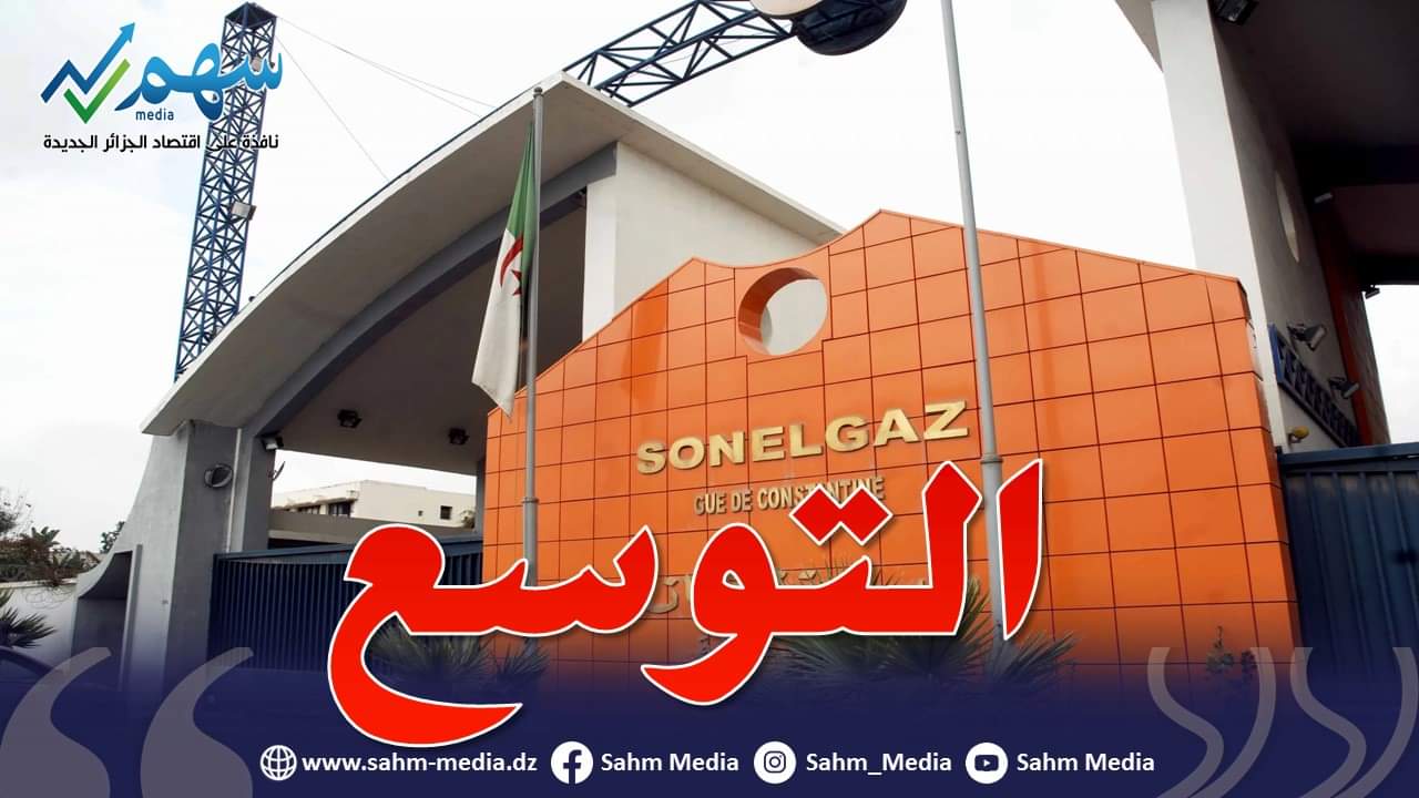 " سونلغاز" تدخل السوق الموريتانية بقوة عبر شركة "SAIEG" - سهم